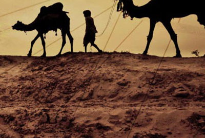 A Peppering of Spice Trade History ~ by HERBCo.com