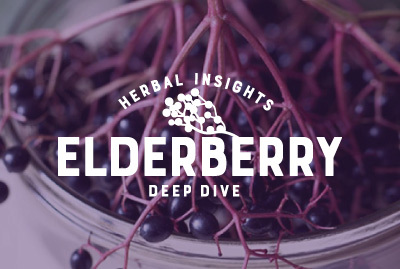 Bulk Herbs, Bulk Spices and Bulk Herbal Teas