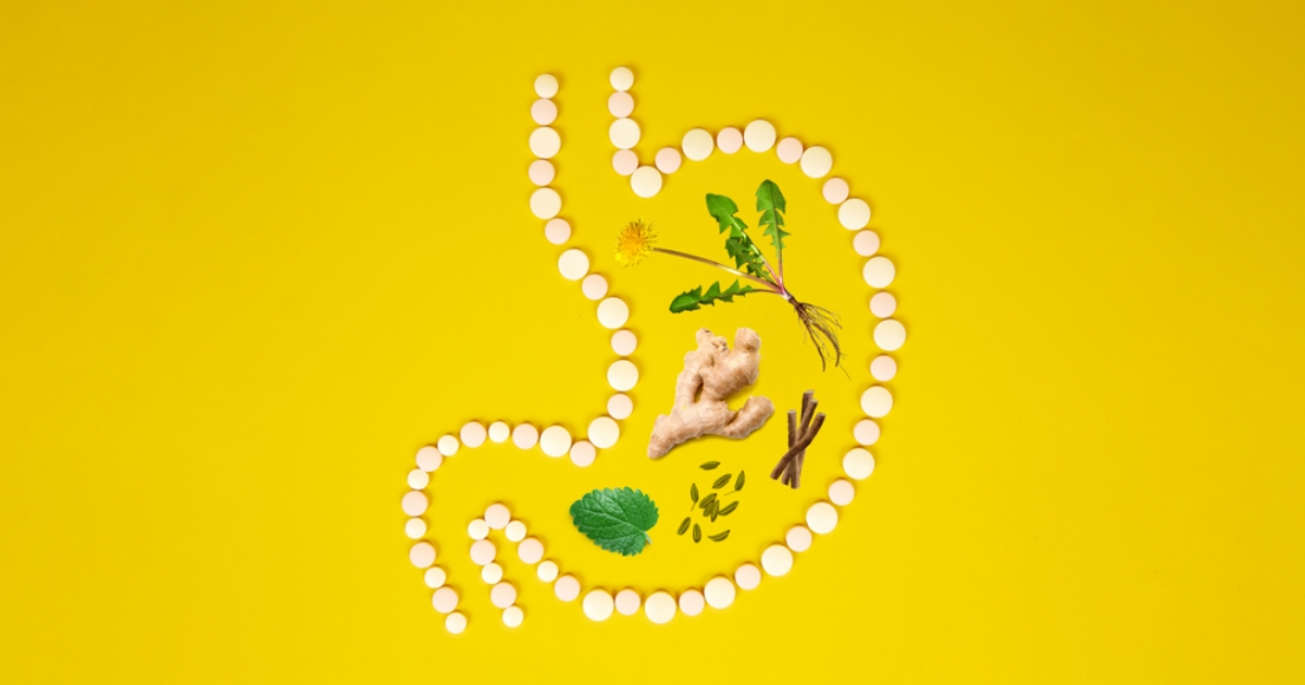 Natural Herbs for Better Gut Health and Digestion