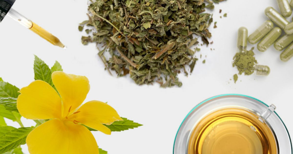 Damiana Quick Guide: Benefits and How to Take Damiana