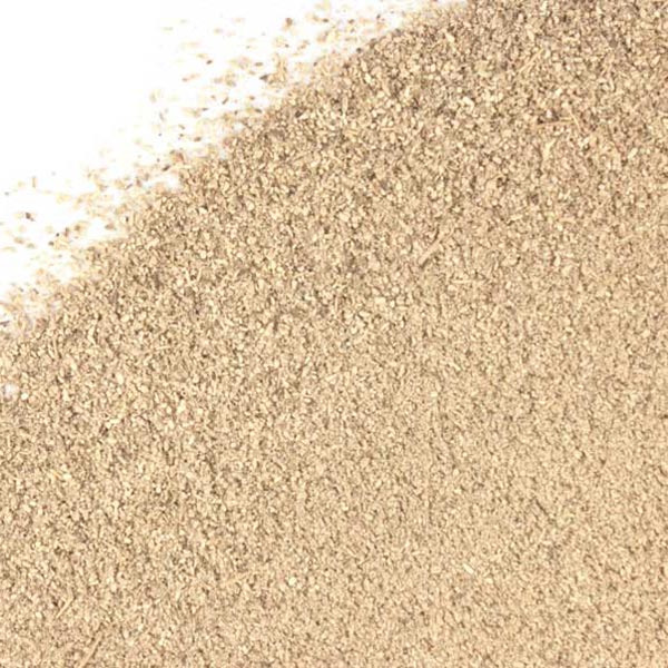 Monterey Bay Spice Co. - Stone root, powder