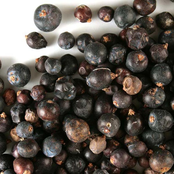 Organic Whole Juniper Berries in Bulk | Monterey Bay Herb Co
