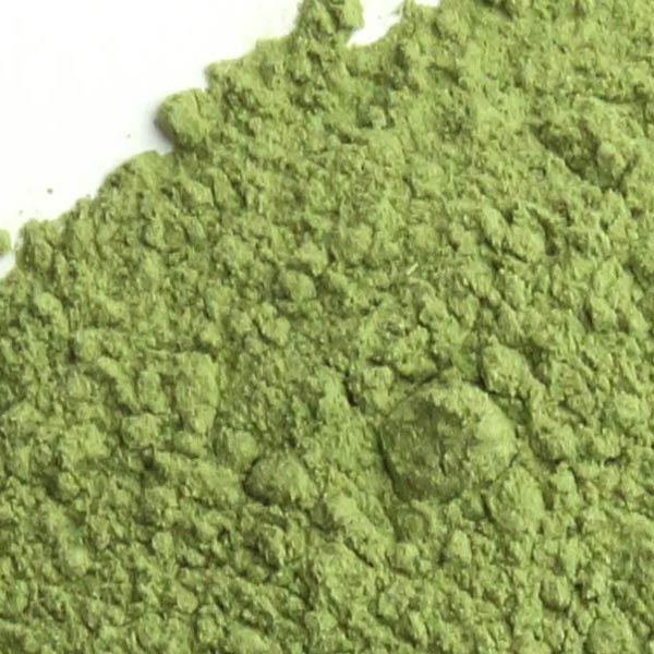 Bulk Spinach Powder | Monterey Bay Herb Co
