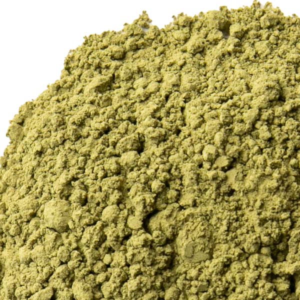 Bulk Green Tea Powder, Organic | Monterey Bay Herb Co