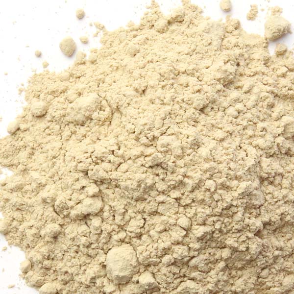 Bulk Shiitake Mushroom Powder, Organic | Monterey Bay Herb Co