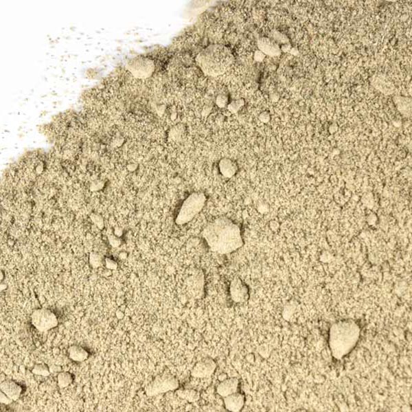 Bulk Lobelia Herb Powder, Wild Crafted | Monterey Bay Herb Co