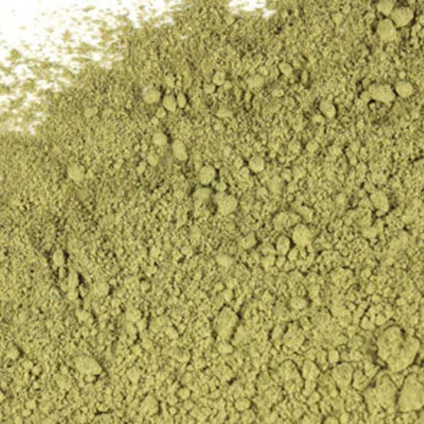 Bulk Lemon Balm Powder | Monterey Bay Herb Co
