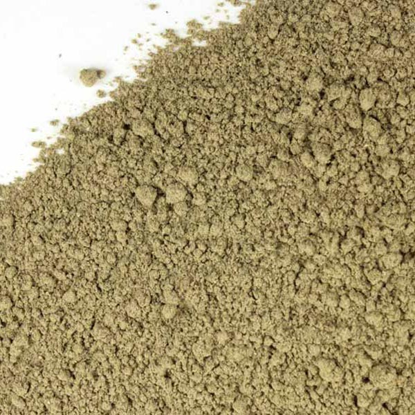 Bulk Plantain Herb Powder | Monterey Bay Herb Co