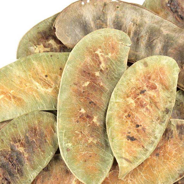 Bulk Senna Pods Whole | Monterey Bay Herb Co