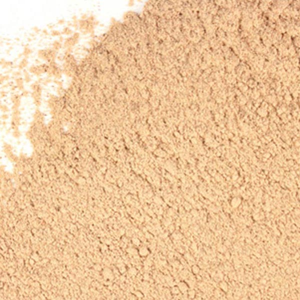 Bulk Wild Yam Root Powder, Wild Crafted | Monterey Bay Herb Co