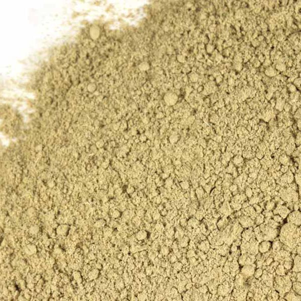 Bulk Gotu Kola Powder, Wild Crafted | Monterey Bay Herb Co
