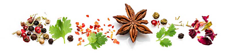 Bulk Herbs, Bulk Spices and Bulk Herbal Teas